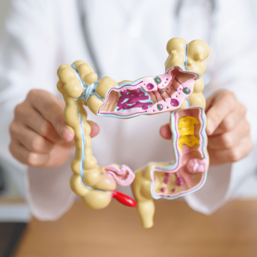 Especialista Gastrointestinal - Dr. Luis Alberto Espino en Tlalpan
